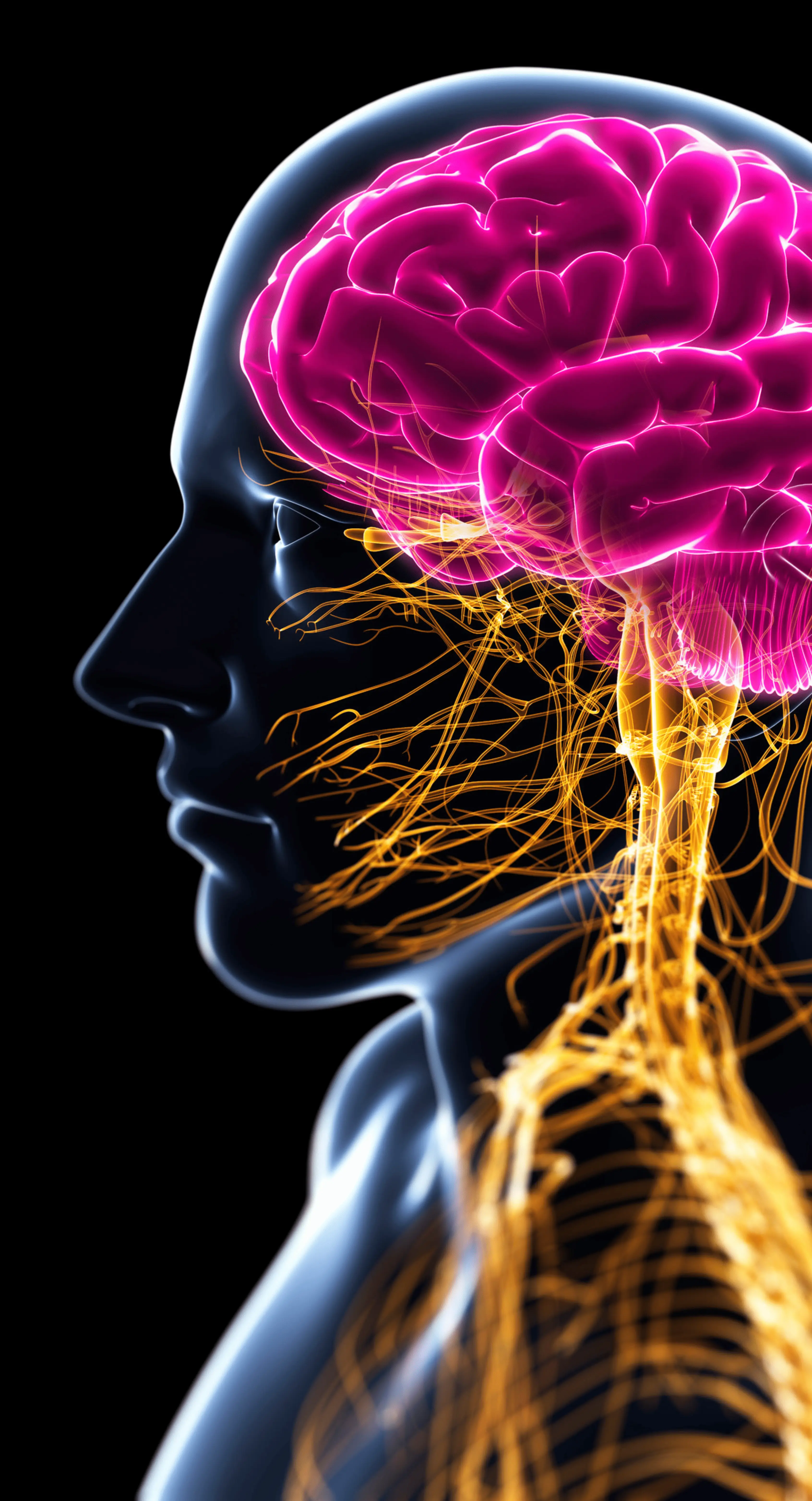 Wisdom Nutrition: Bible Based Herbal Supplement