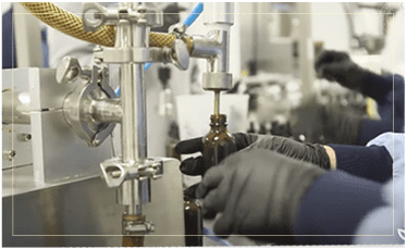 Transform Energy Levels & Revitalizes Your Health!