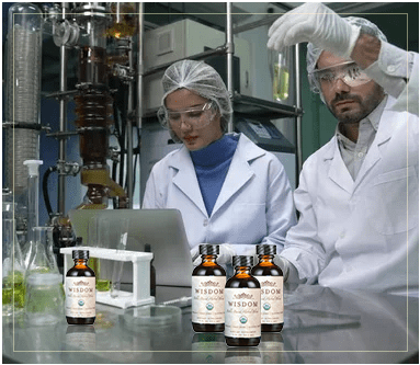 Transform Energy Levels & Revitalizes Your Health!